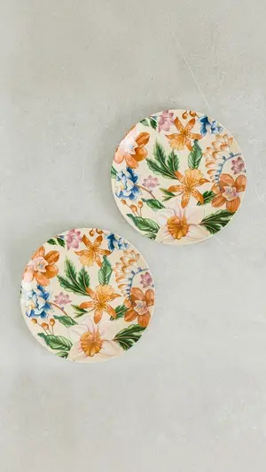 Farm Rio Floral Dinner Plates Set Of 2