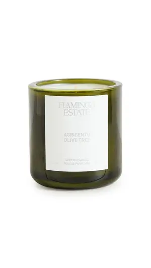 FLAMINGO ESTATE Ancient Agrigento Olive Tree Candle