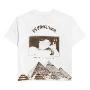 PLEASURES Elevation Heavyweight T-shirt - White