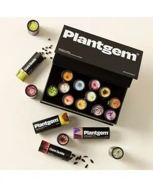 UNCOMMON GOODS Flower Garden In A Box