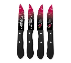 INGLASCO Nfl 4-piece Steak Knife Set - One-color