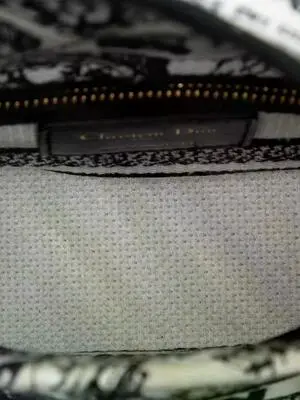 Dior 2023 Mini Embroidered Canvas Lady D-lite Satchel