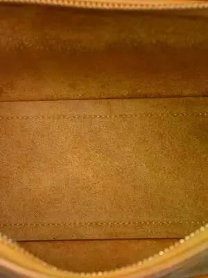 Celine 2020 Nano Grained Calfskin Belt Bag - Yellow