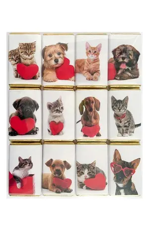 HOUSE OF DORCHESTER 12-piece Valentine Pets Mini Milk Chocolate Bars - Milk Chocolate Slims