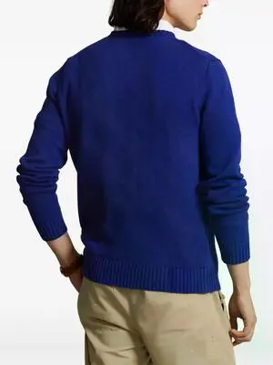 Polo Ralph Lauren Crew-neck Sweater - Blue