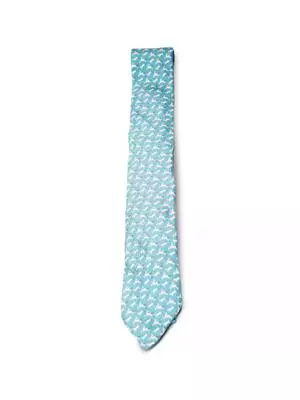 Hermès 2000 Printed Tie