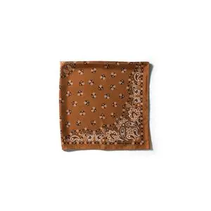 Miu Miu Printed Silk Scarf - Cognac