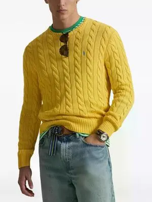 Polo Ralph Lauren Cable-knit Sweater With Embroidery - Yellow