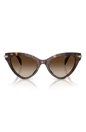 Michael Kors 52mm Gradient Cat-eye Sunglasses - Luggage Tortoise/smoke