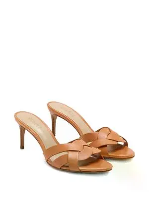 Schutz 70mm Renata Mules