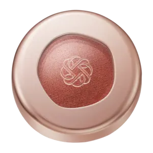 DECORTE Eye Glow Gem Skin Shadow Silky Matte - 27m Rustic Brown