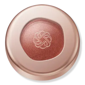 DECORTE Eye Glow Gem Skin Shadow Silky Matte 27m Rustic Brown