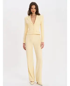 MISS CIRCLE NEW YORK Slim Fit Suit Pants - Yellow
