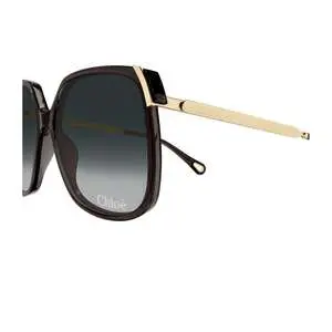 Chloé Ch0286s Aly Sunglasses