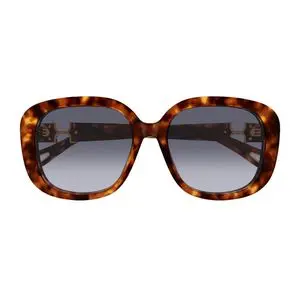Chloé Marcie Sunglasses - Havana