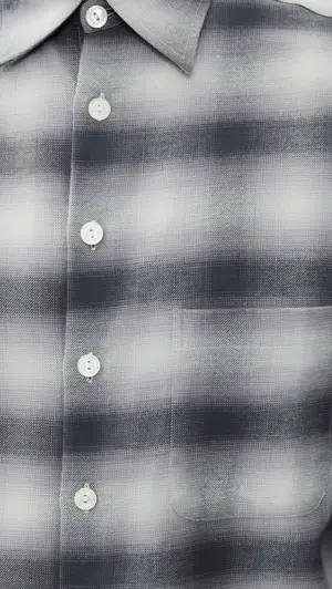 AARON LEVINE Shadow Flannel