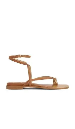 Dolce Vita Strappy Flat Sandals With Metal Toe Ring Detail - Espresso