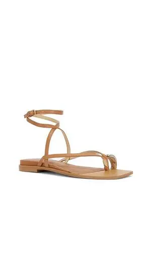 Dolce Vita Strappy Flat Sandals With Metal Toe Ring Detail - Espresso