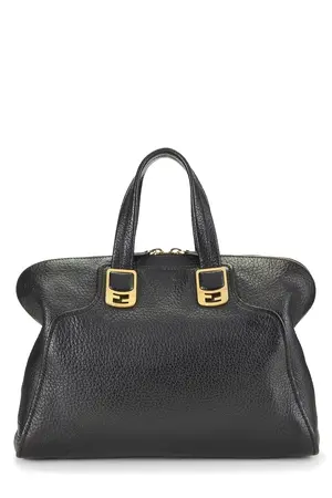 Fendi Calfskin Chameleon