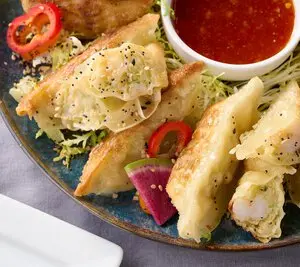 THE PERFECT GOURMET 35pc Classic Shrimp Potstickers - One-color