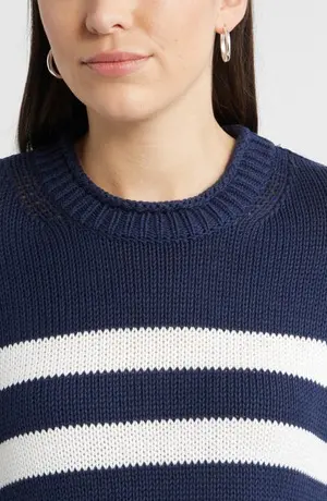 Caslon Stripe Roll Neck Cotton Sweater - Navy Still- White Stripe
