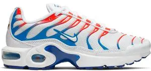Nike Air Max Plus Sneakers