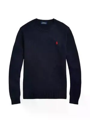 Polo Ralph Lauren Cotton Polo Pony Sweater - Blue
