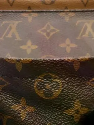 LOUIS VUITTON 2019 Monogram Palm Springs Pm Backpack - Brown
