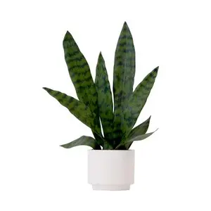 NEARLY NATURAL 16-in Artificial Sansevieria Snake Plant With Decorative Planter - Green