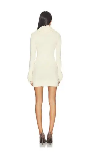 Superdown Eisley Mini Dress
