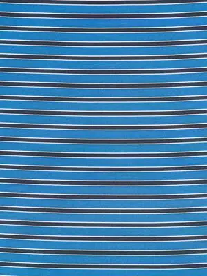 TOTEME Striped Silk Scarf - Blue
