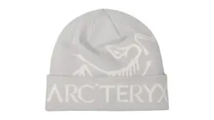Arc'teryx Bird Word Toque Beanie - Solitude/arctic Silk