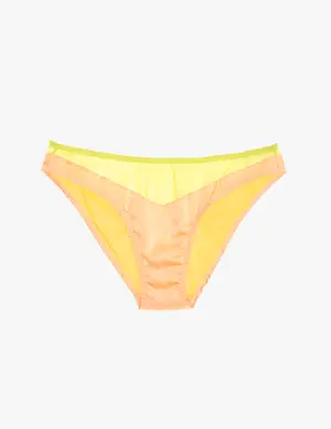 Araks Sheer Briefs For Women