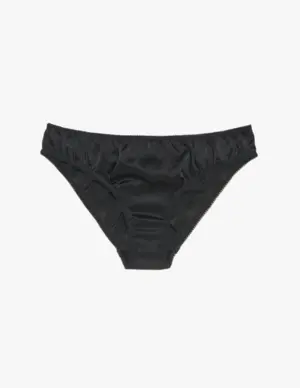 Araks Briefs For Women