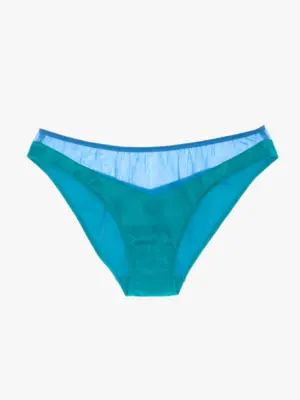 Araks Aaron Panty Parrot - Blue