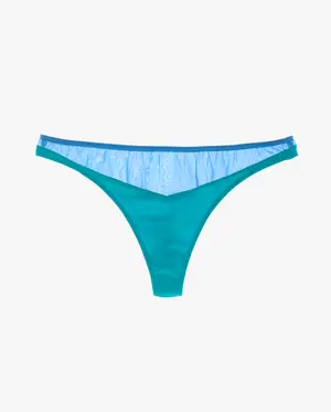 Araks Maya Thong Parrot - Blue