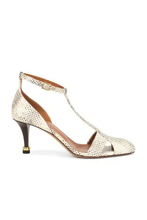 Chloe Kitten Heel Pumps