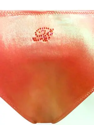 Blumarine Logo-detail Bikini Bottom - Orange