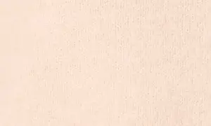 CECE DUPRAZ Floral Embroidered Crewneck Sweater