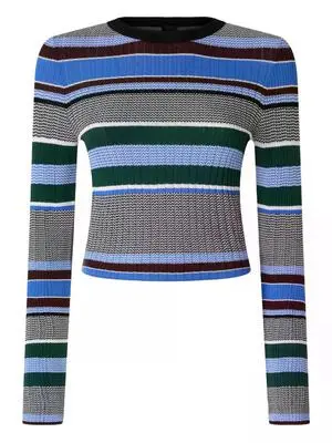 Pinko Multicoloured Striped Ribbed Knit Crew Neck Sweater - Blue