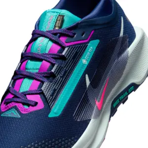Nike Pegasus Trail 5 Gore-tex Waterproof Trail Running Shoes - Blue