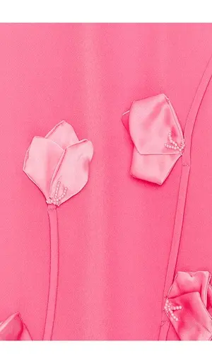 ELLIATT Nolana Gown With Floral Applique - Pink