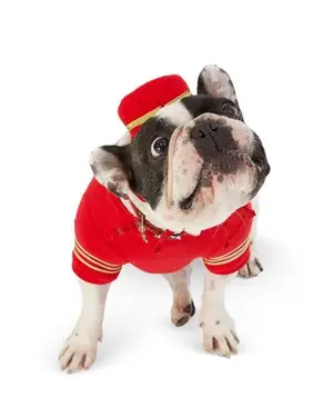MOSHIQA Empire Dog Sweatshirt