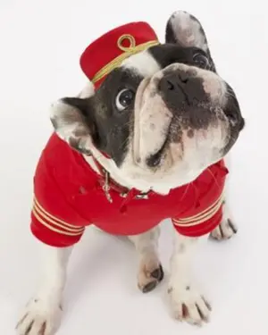 MOSHIQA Empire Dog Sweatshirt