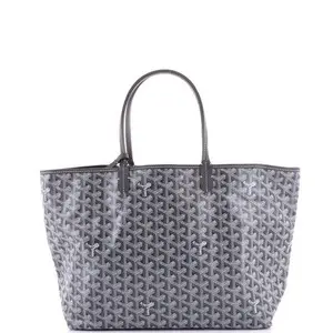 Goyard Saint Louis Pm Tote Coated Canvas