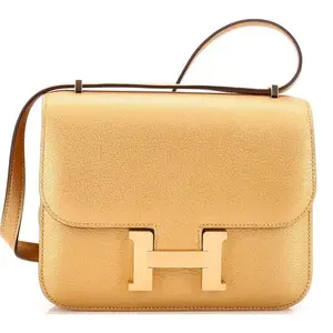 HERMÈS Constance NM Bag Metallic Chevre Chamkilight 18