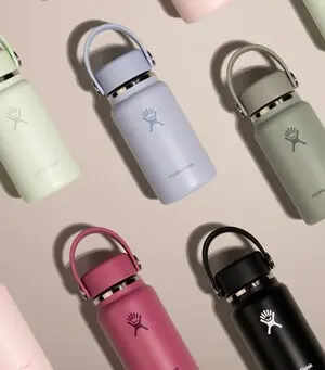 HYDRO FLASK Micro