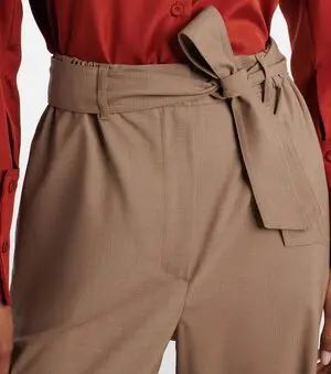 Max Mara Salpa Wide-leg Virgin Wool Pants - Beige