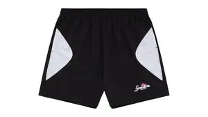 Aimé Leon Dore Team Leon Performance Short
