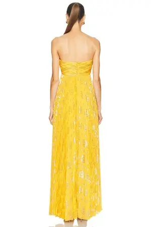 Alexis Soleil Maxi Dress